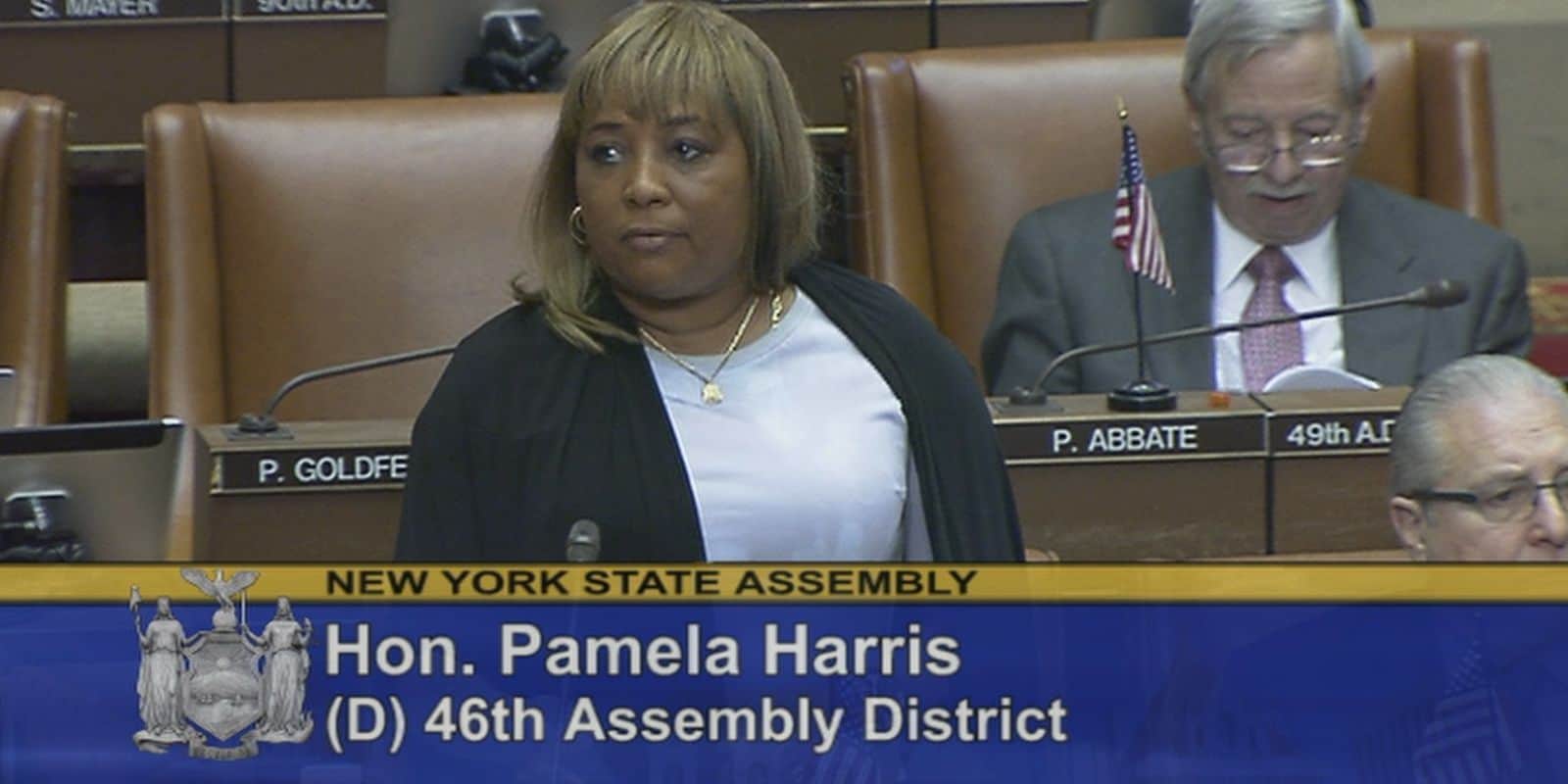 New York Assemblywoman Pamela Harris Stole Sandy Money from FEMA | New ...
